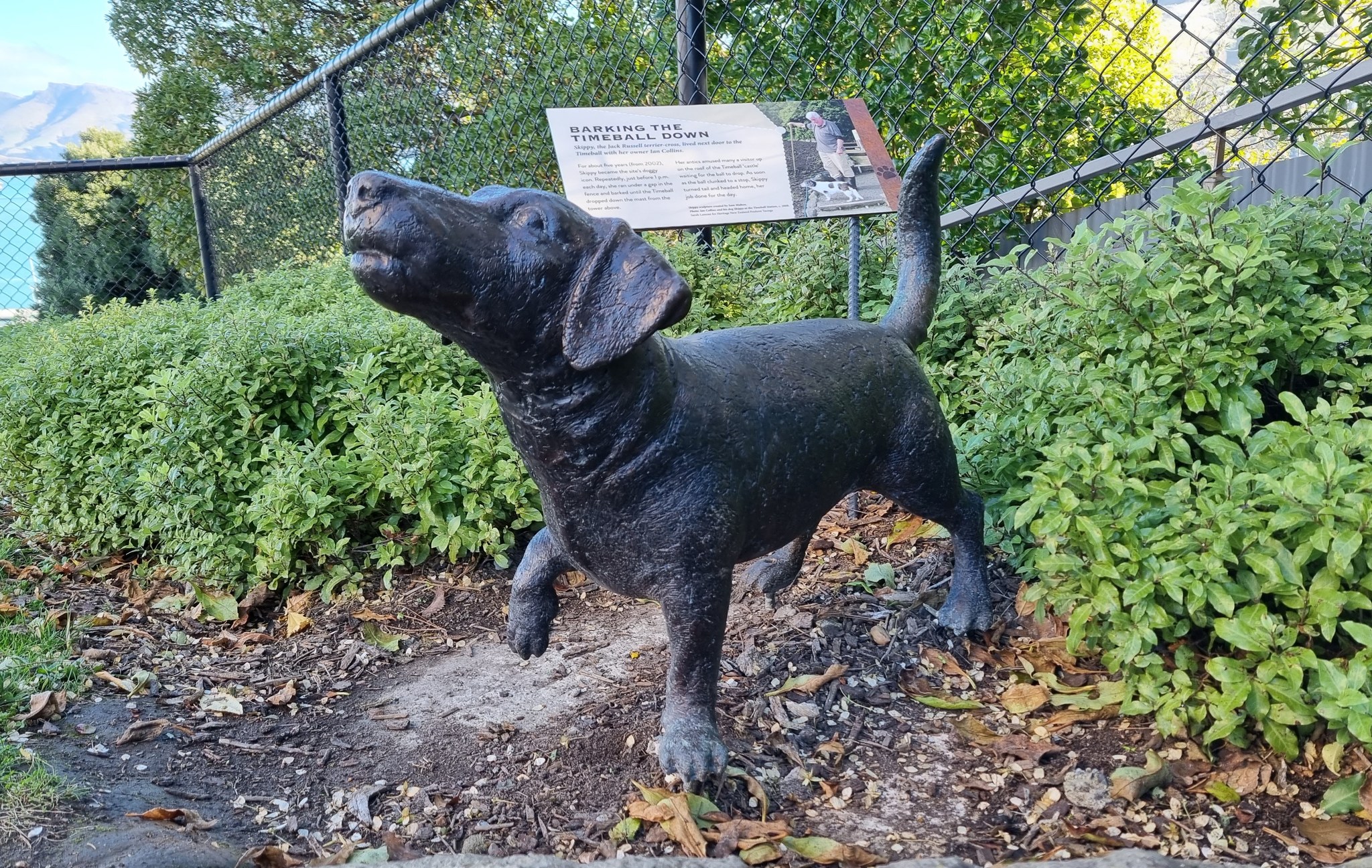 Public urged to help find beloved Skippy dog statue stolen from ...
