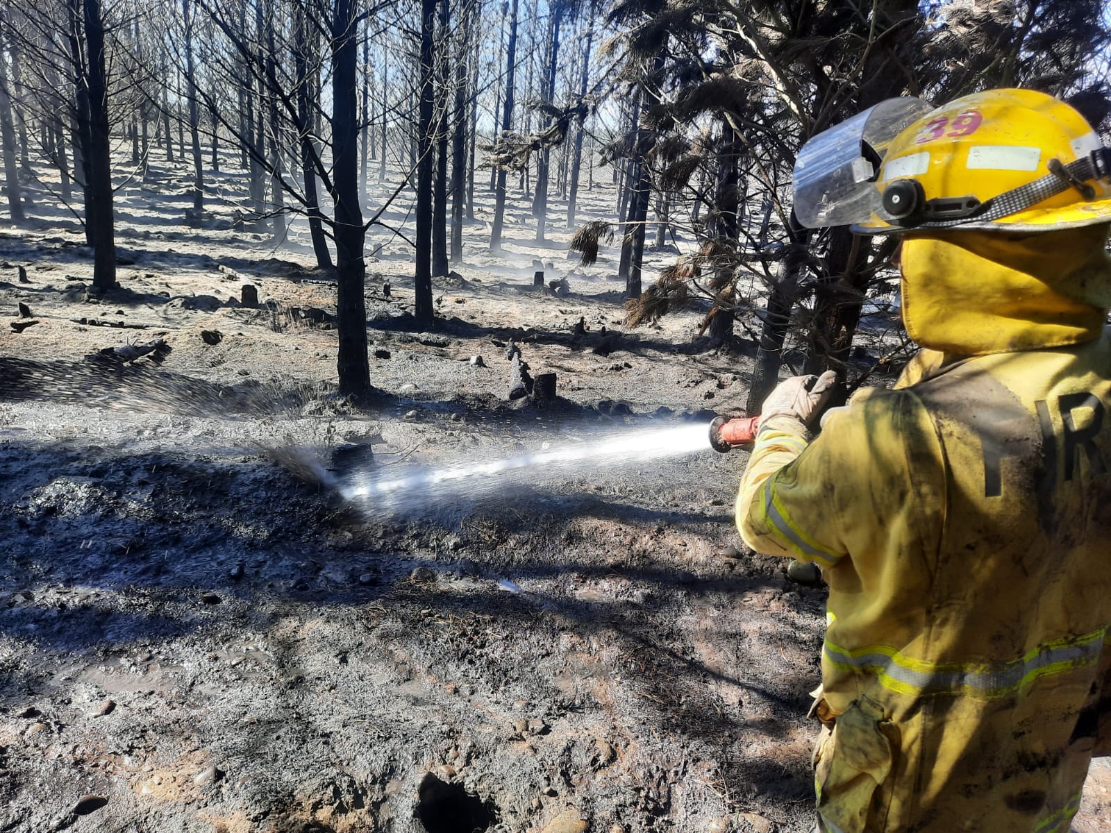 Fire crews to begin scaling down efforts at West Melton and Kirwee fires - Chris Lynch Media