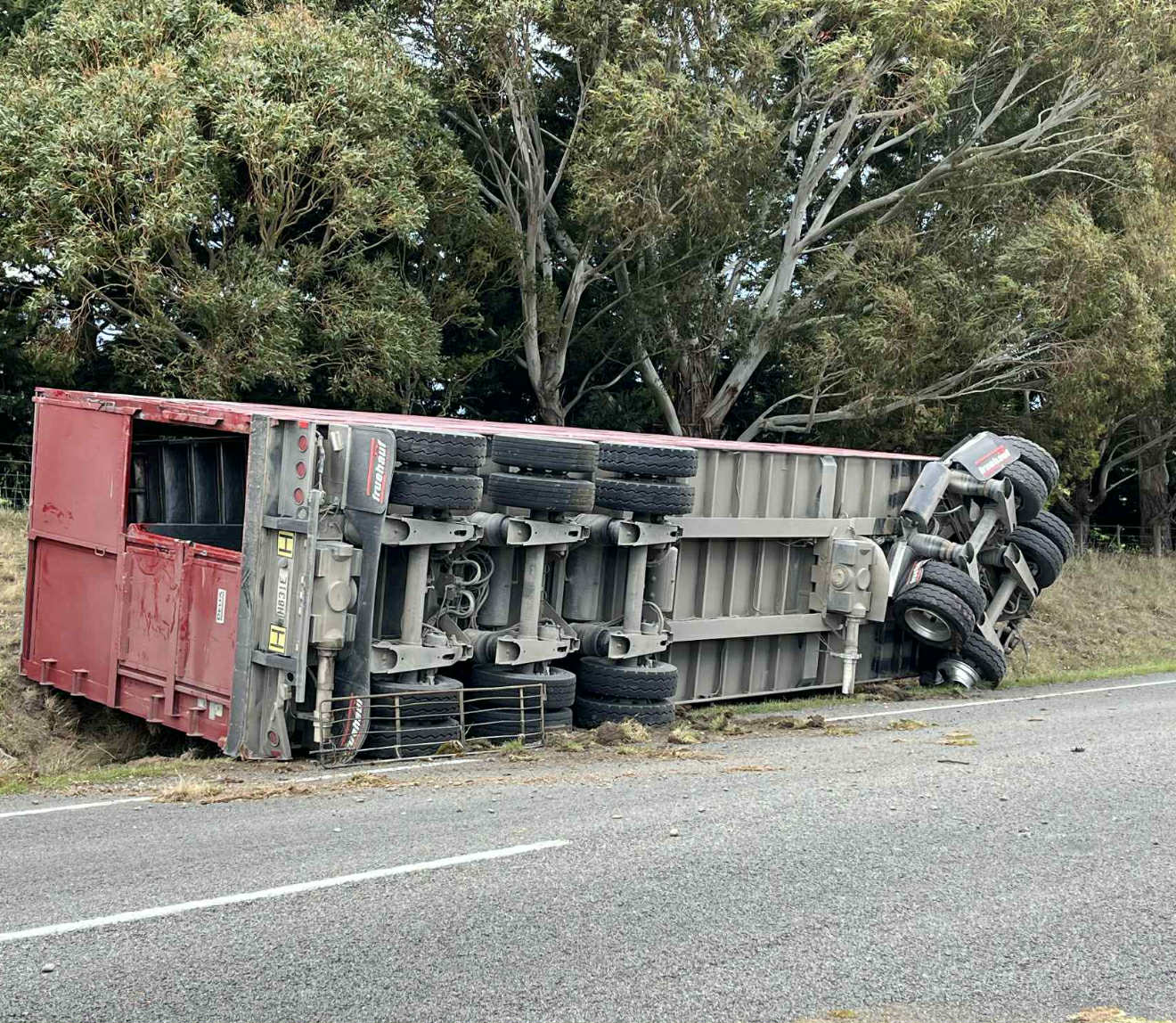 Over 20 sheep killed after stock truck crashes in North Canterbury ...