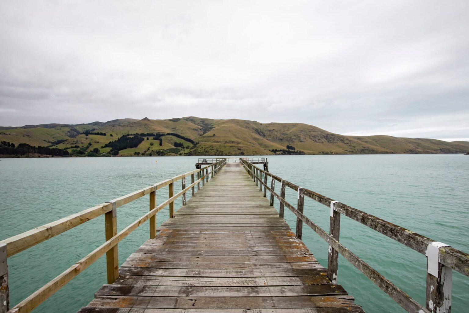 Health warning continues after shellfish toxins found at Port Levy ...