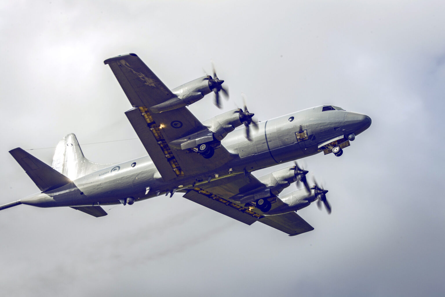 Tall Tails exhibition opens at Air Force Museum in Christchurch - Chris ...